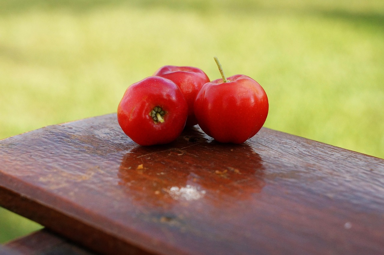 Mais de 1.000 imagens grátis de Suco Acerola e Acerola - Pixabay