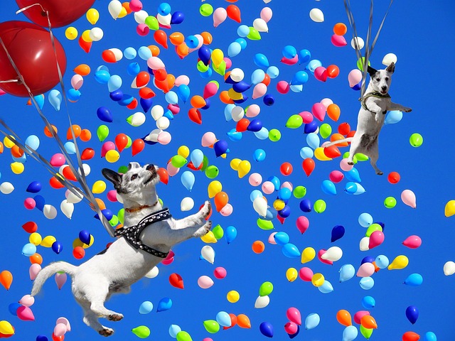 70+ Free Funny Images & Funny Images - Pixabay