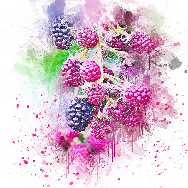 100+ kostenlose Brombeere & Himbeere Illustrationen - Pixabay