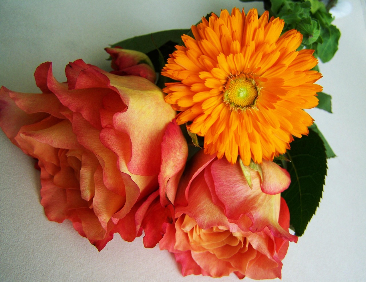 Blombukett Orange-Rosa Blommor - Gratis foto på Pixabay - Pixabay