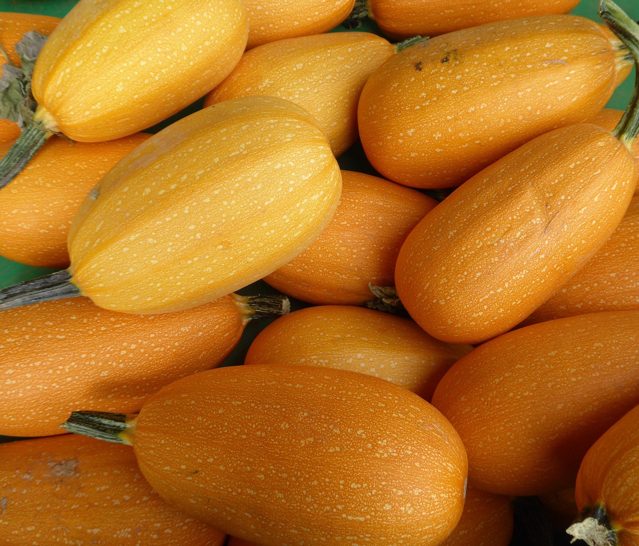 Zucchini Vegetables Organic - Free photo on Pixabay - Pixabay