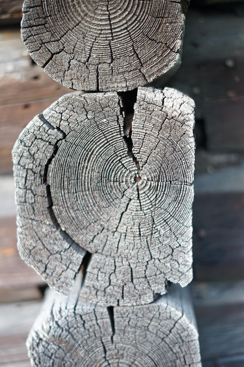 Madera Vieja Cabaña Haz - Foto gratis en Pixabay - Pixabay