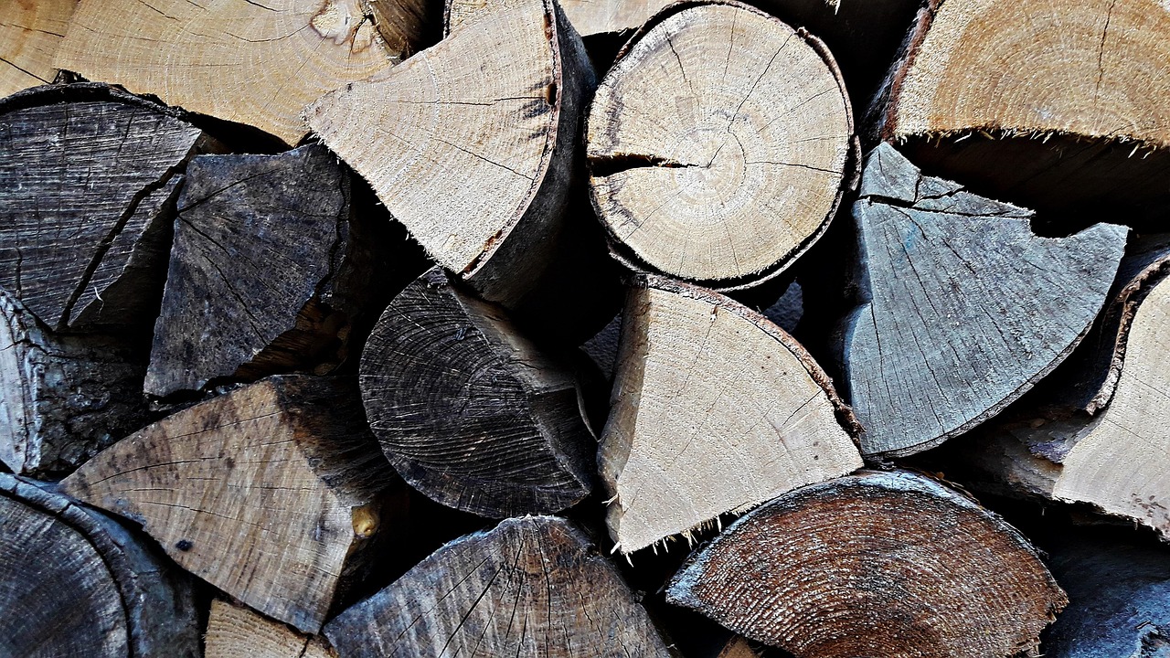 Holz Hintergrund Baum - Kostenloses Foto auf Pixabay - Pixabay
