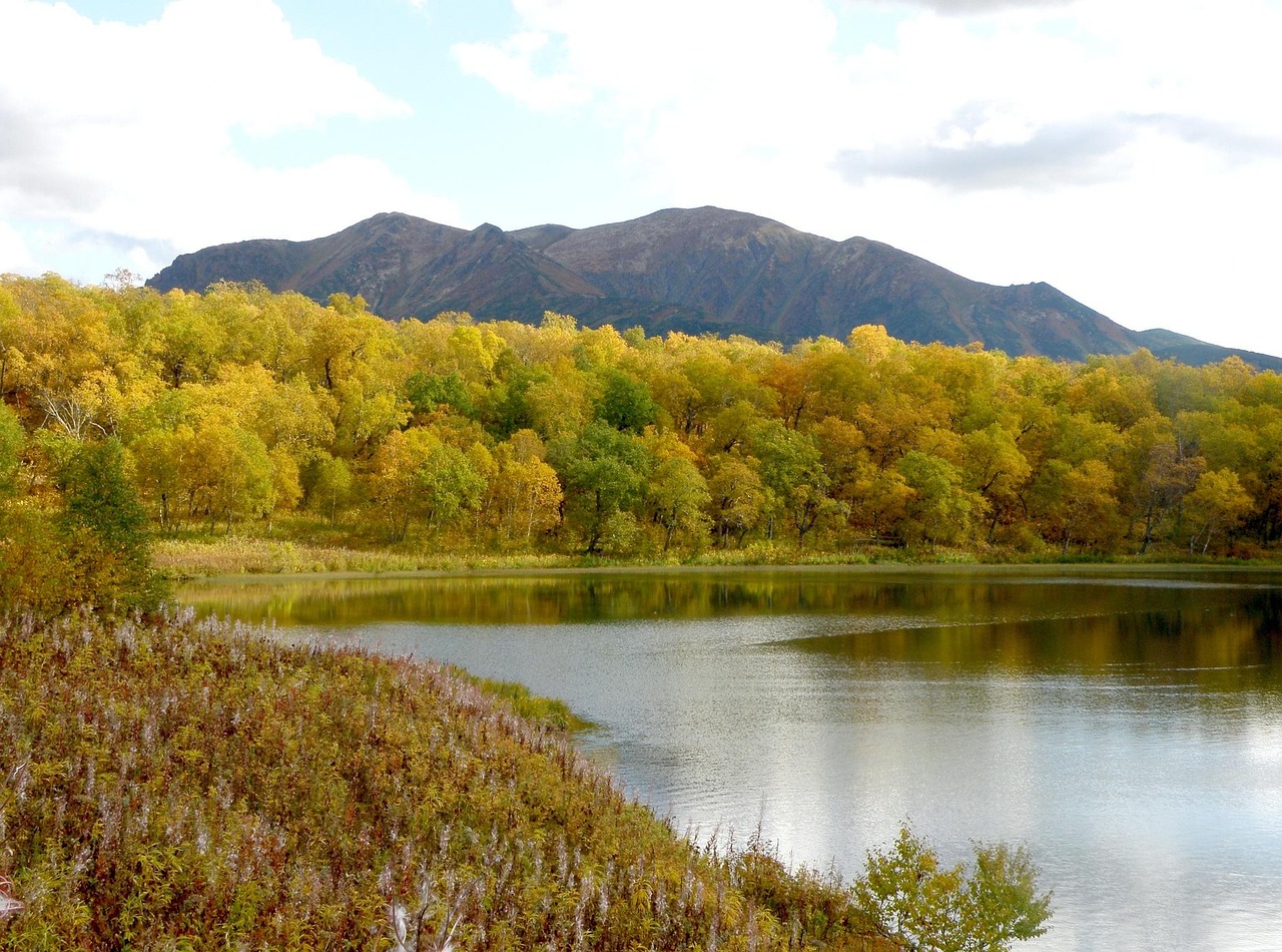 Más de 400 imágenes gratis de Tundra y Paisaje - Pixabay
