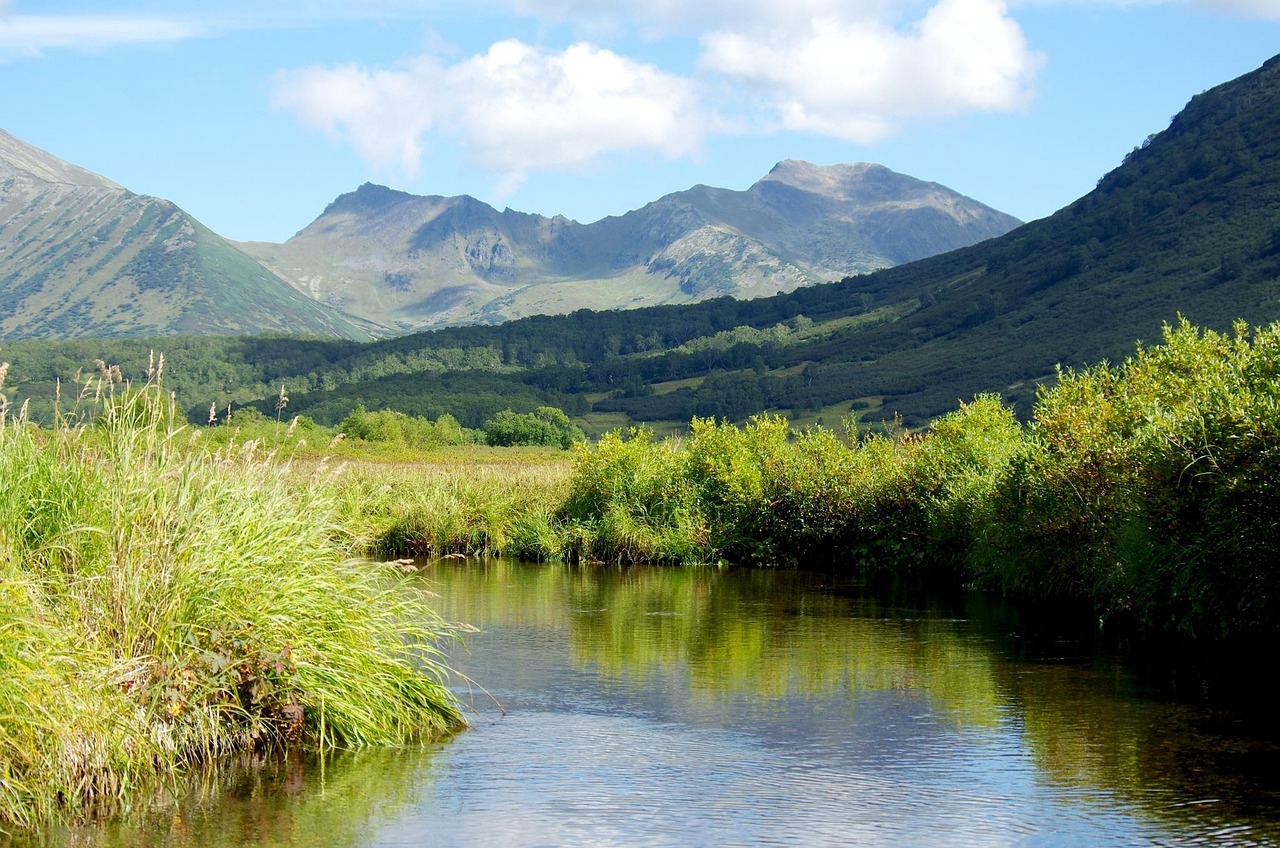 Lac Montagnes Forêt - Photo gratuite sur Pixabay - Pixabay