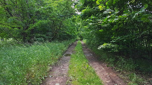 90+ Free Open Space Nature & Nature Images - Pixabay