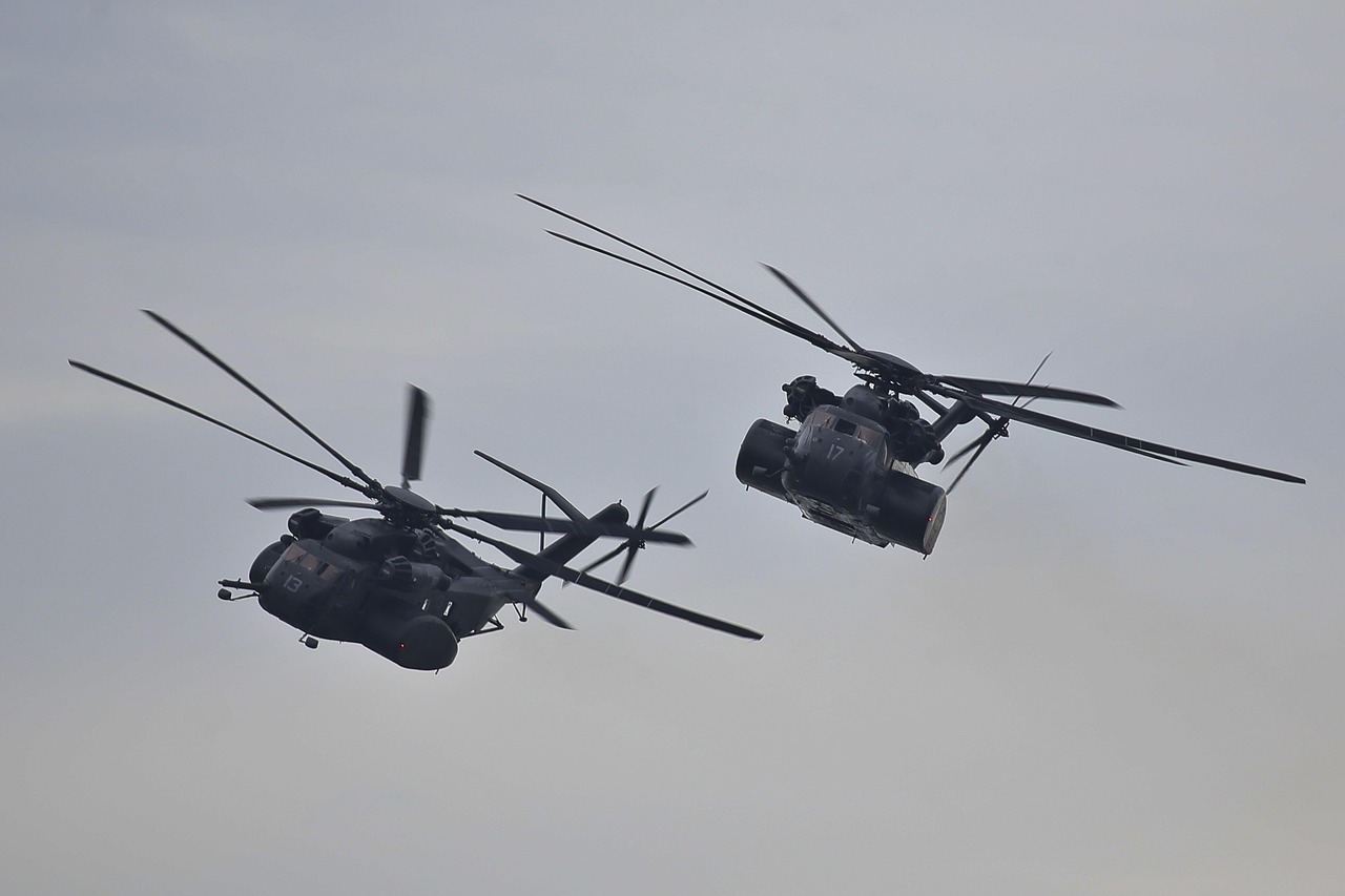 20,000+ Free Dragon Flight Loop & Dragon Images - Pixabay