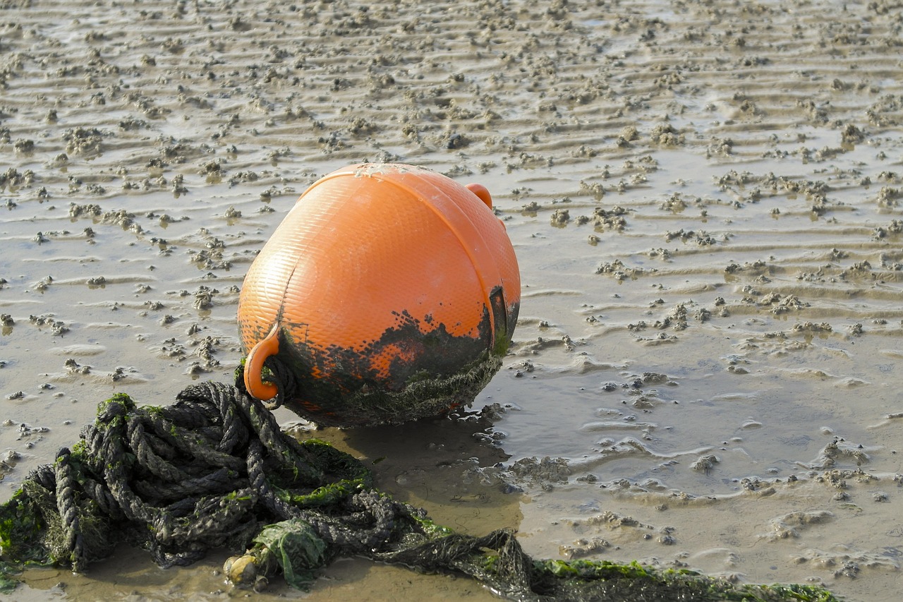 Buoy Watt Mud - Free photo on Pixabay - Pixabay