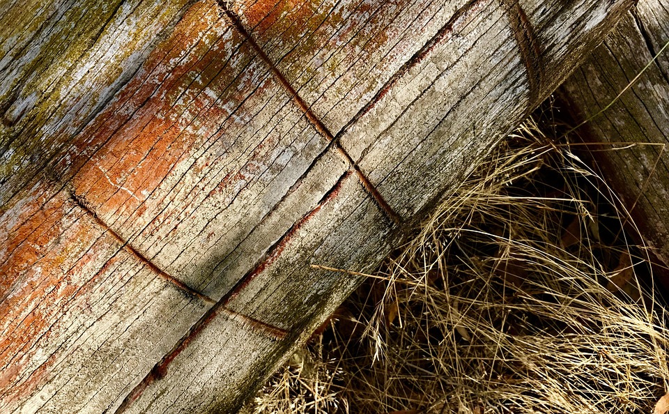Log Wood Timber - Free photo on Pixabay - Pixabay