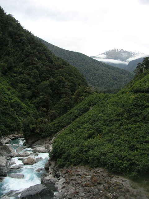 3,000+ Free New Zealand & Nature Images - Pixabay