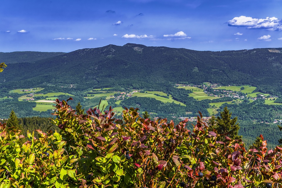 Bayrischer Wald Berg Bayern - Kostenloses Foto auf Pixabay - Pixabay