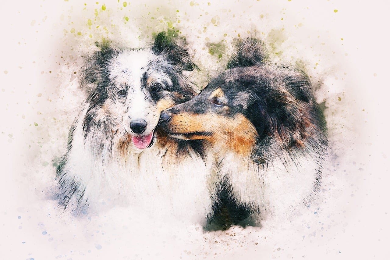 Download Dogs, Animal, Art. Royalty-Free Stock Illustration Image - Pixabay