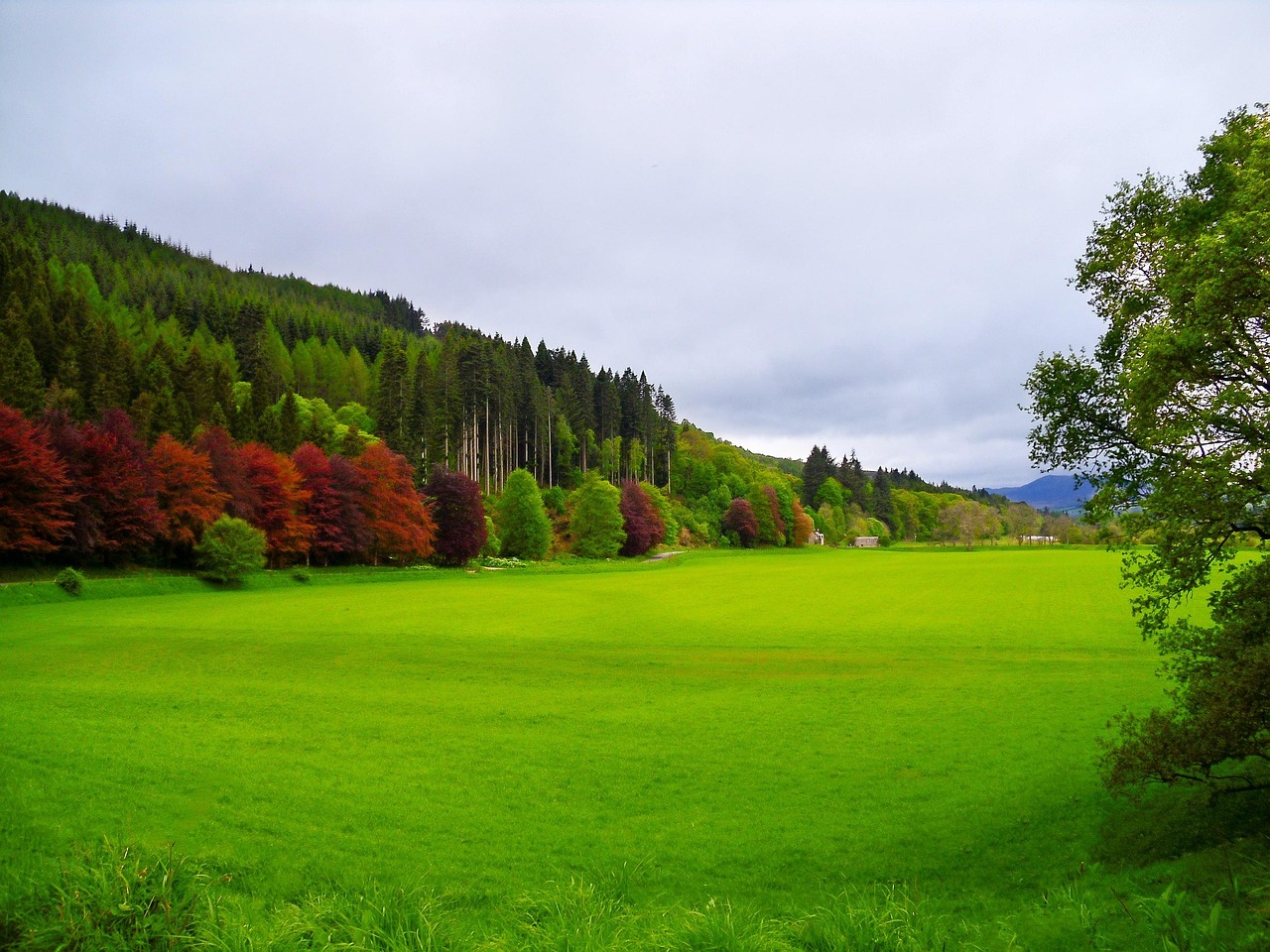 Farm Field Dunkeld Scotland - Free photo on Pixabay
