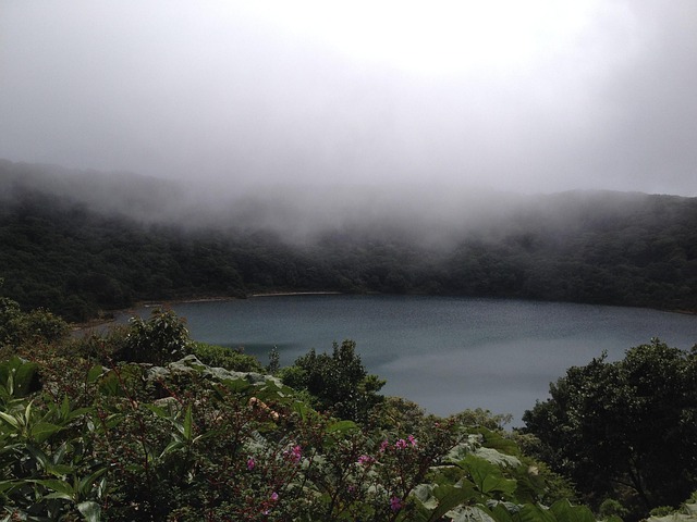 Costa Rica Naturaleza - Foto gratis en Pixabay - Pixabay