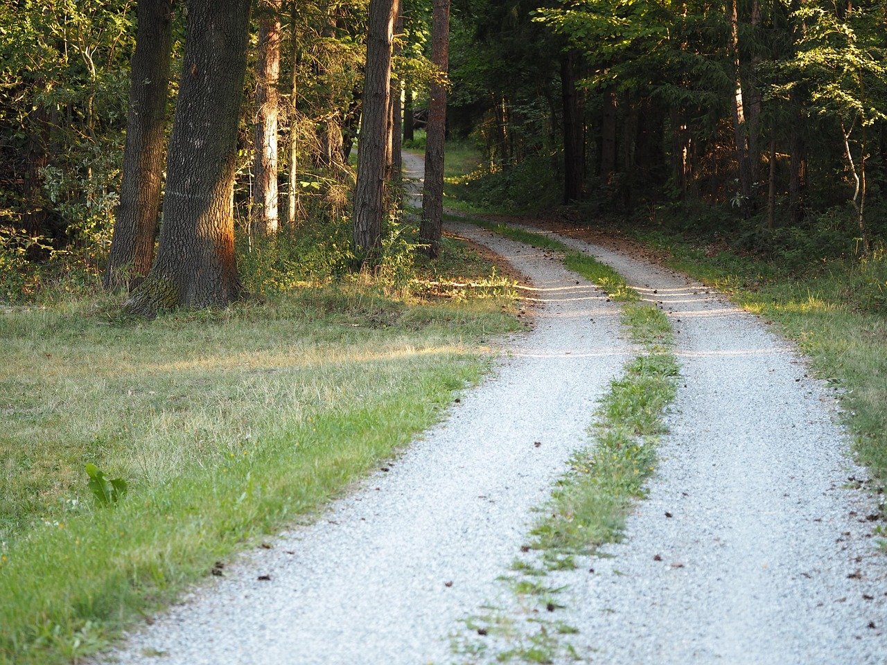 Sendero Ruta De Senderismo - Foto gratis en Pixabay - Pixabay