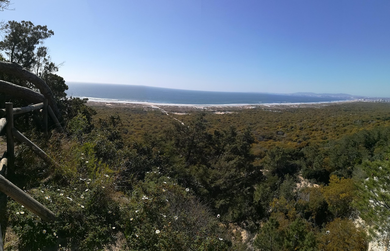 Plus de 2 000 images de Breathtaking Vista et de Vista - Pixabay