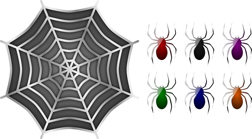 90+ Free Spider Web & Spider Illustrations - Pixabay