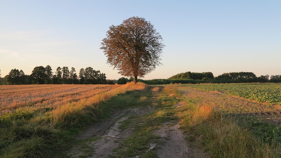 End Of Summer Autumn The - Free photo on Pixabay - Pixabay