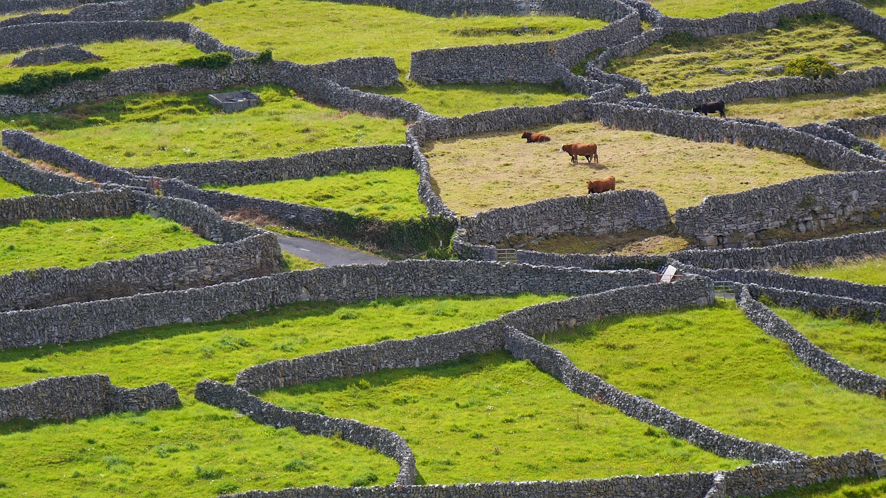 Ireland Stone Wall Green - Free photo on Pixabay - Pixabay
