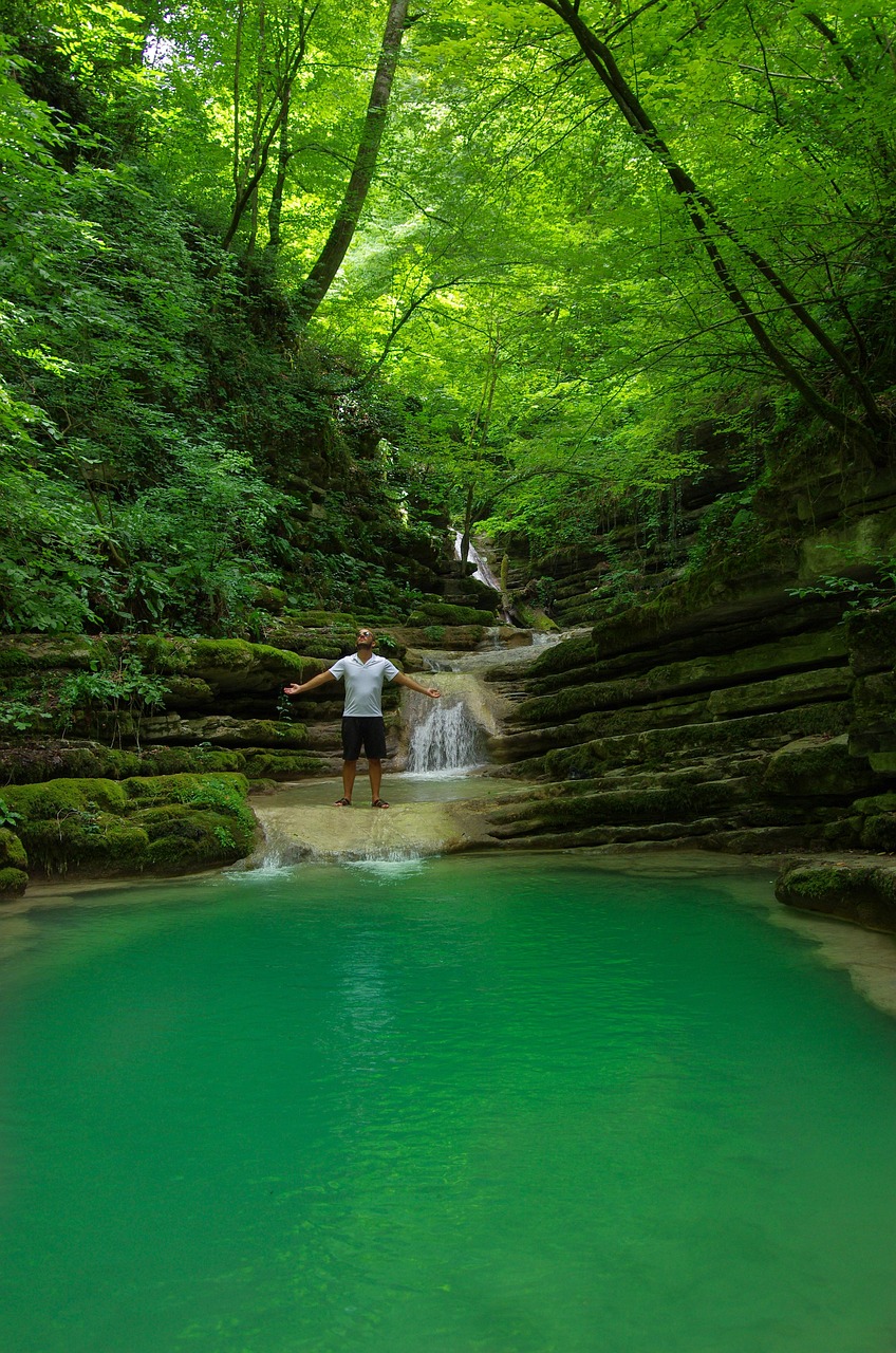 Tor Wald Wasserfall - Kostenloses Foto auf Pixabay