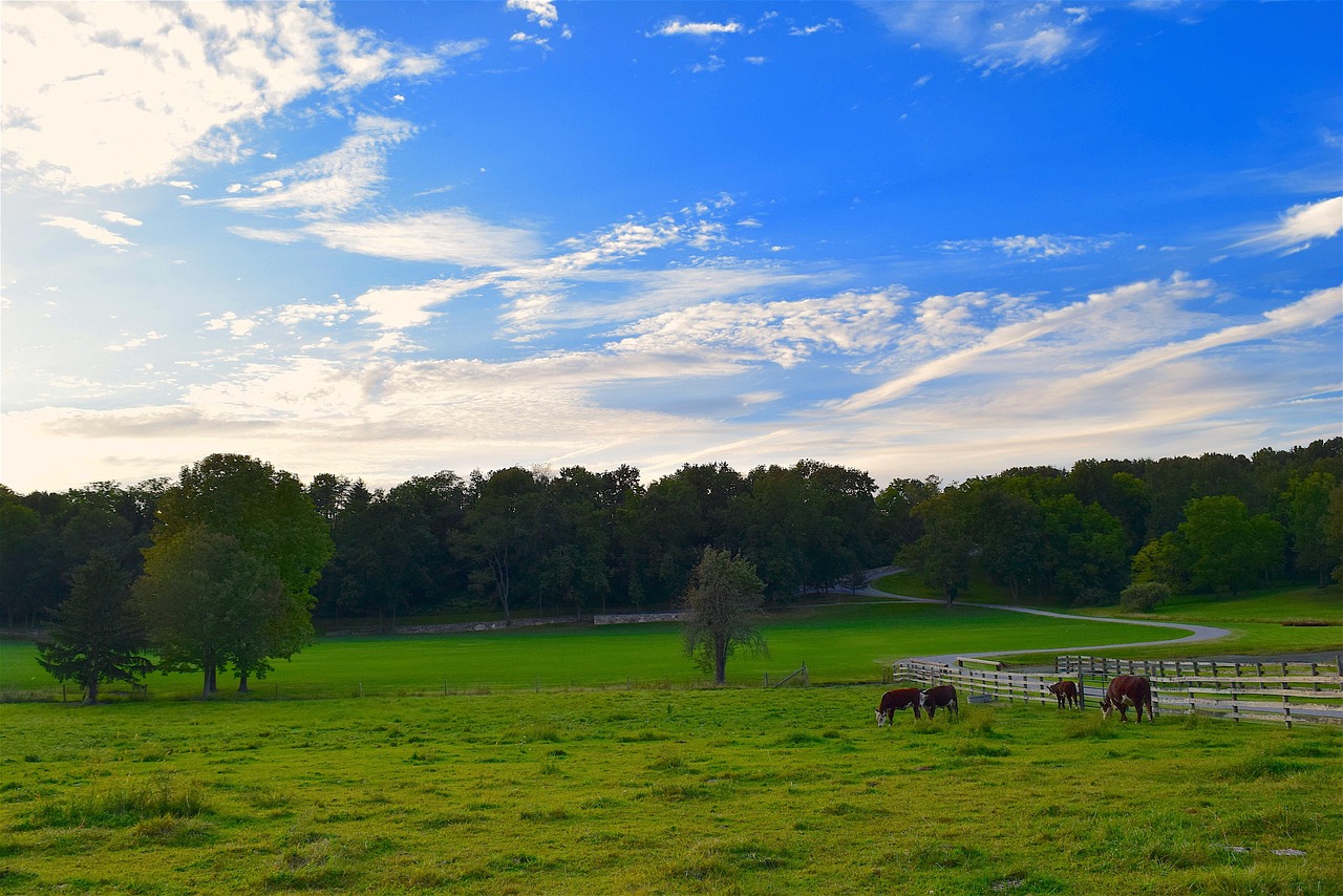 Rural Pasture Green - Free photo on Pixabay