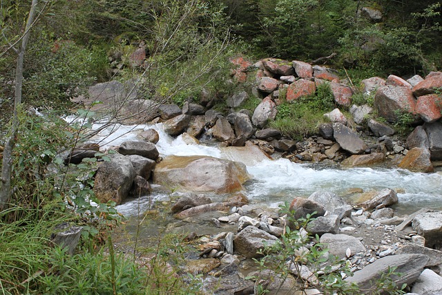 Water-Mountain Stream Bach Nature - Free photo on Pixabay - Pixabay