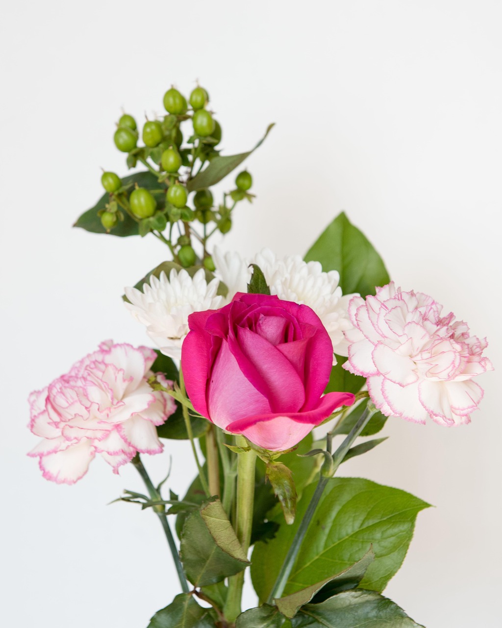 Roze Roos Bloem Witte Achtergrond - Gratis foto op Pixabay - Pixabay