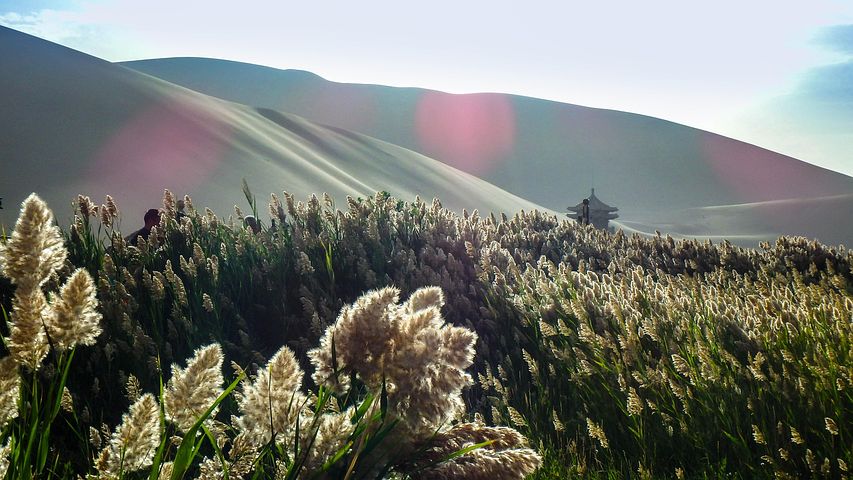 40+ Free Dunhuang & Desert Photos - Pixabay