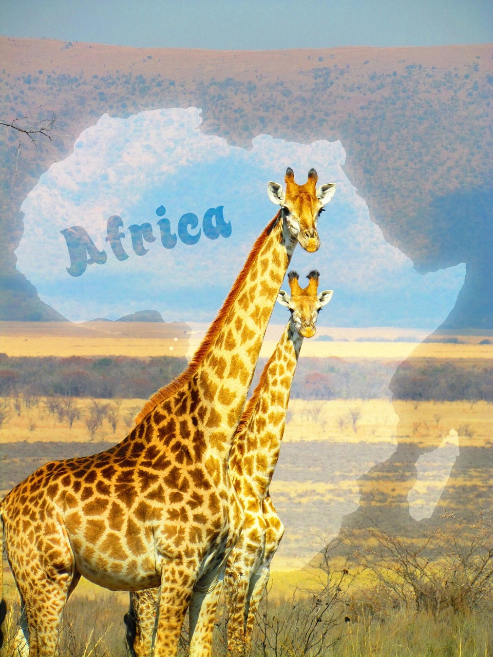 20+ Free Multiple Animals & Multiplication Images - Pixabay