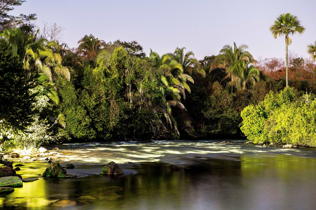 La Nature Fleuve Paysage - Photo gratuite sur Pixabay - Pixabay