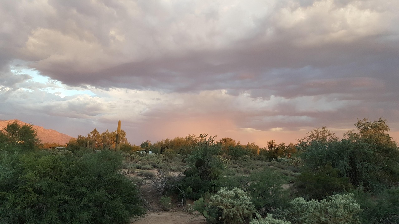 Arizona Tucson Sunset - Free photo on Pixabay