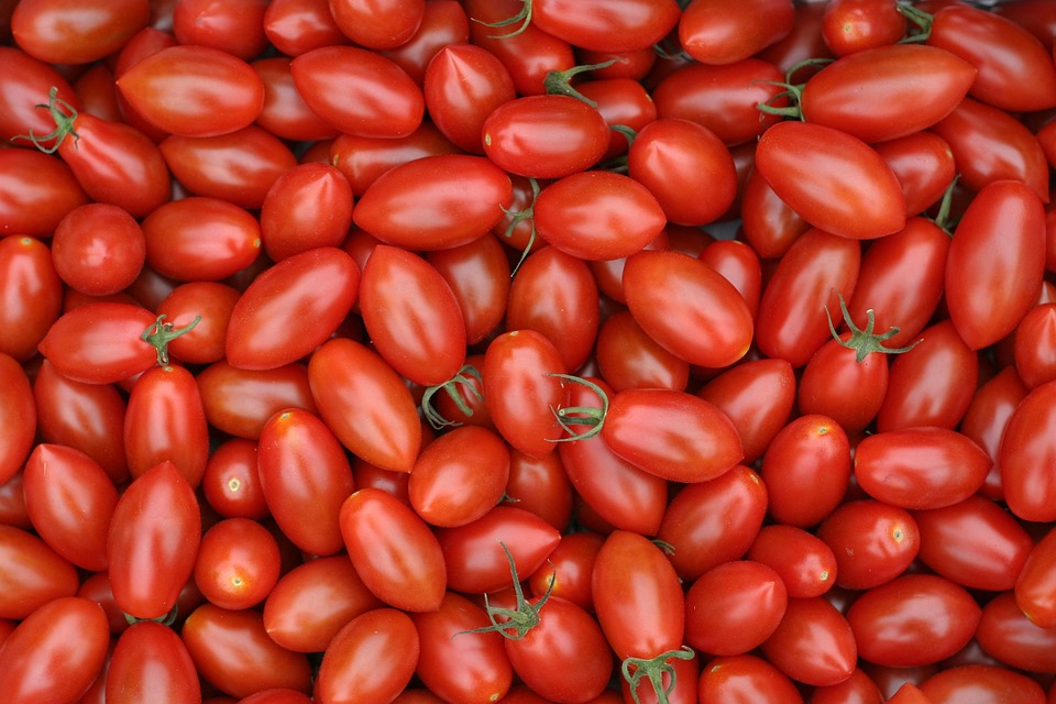 Trilly Tomatoes Salad - Free photo on Pixabay - Pixabay
