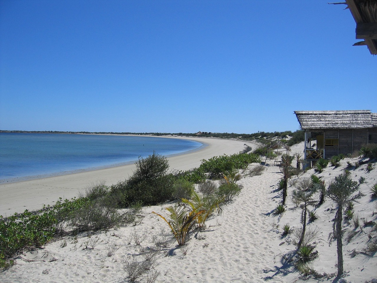 Madagascar Beach Sea - Free photo on Pixabay - Pixabay