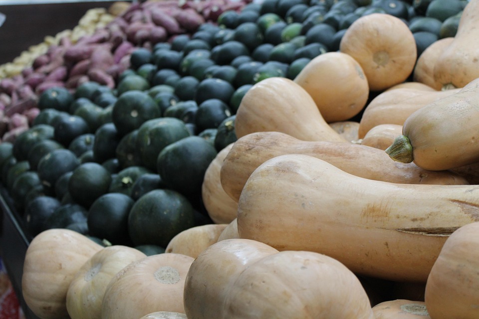 Food Vegetable Butternut - Free photo on Pixabay - Pixabay