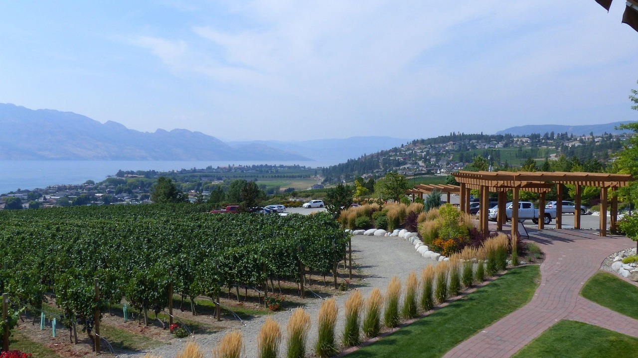 Winery In Bc View To The Lake - Free photo on Pixabay - Pixabay