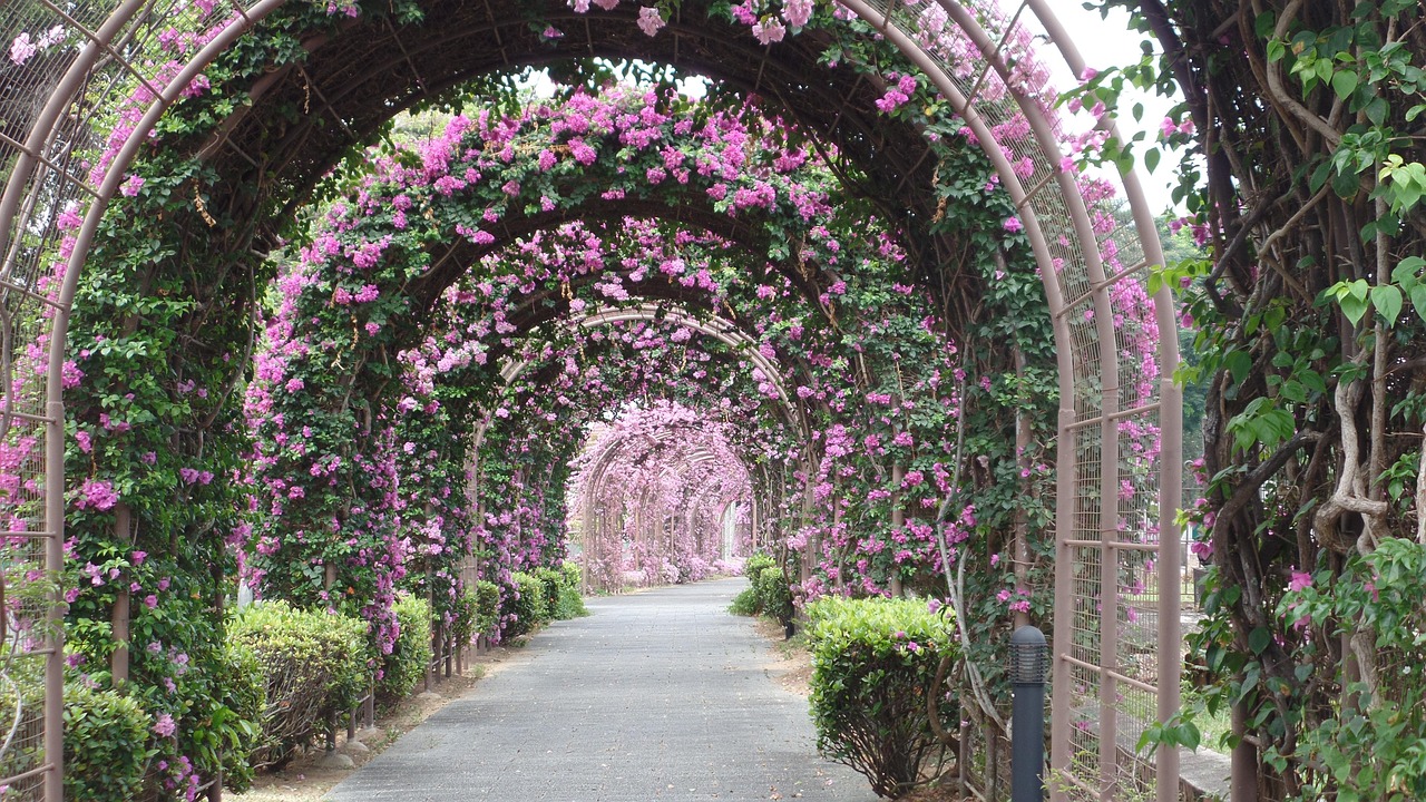 Garden Nature - Free photo on Pixabay