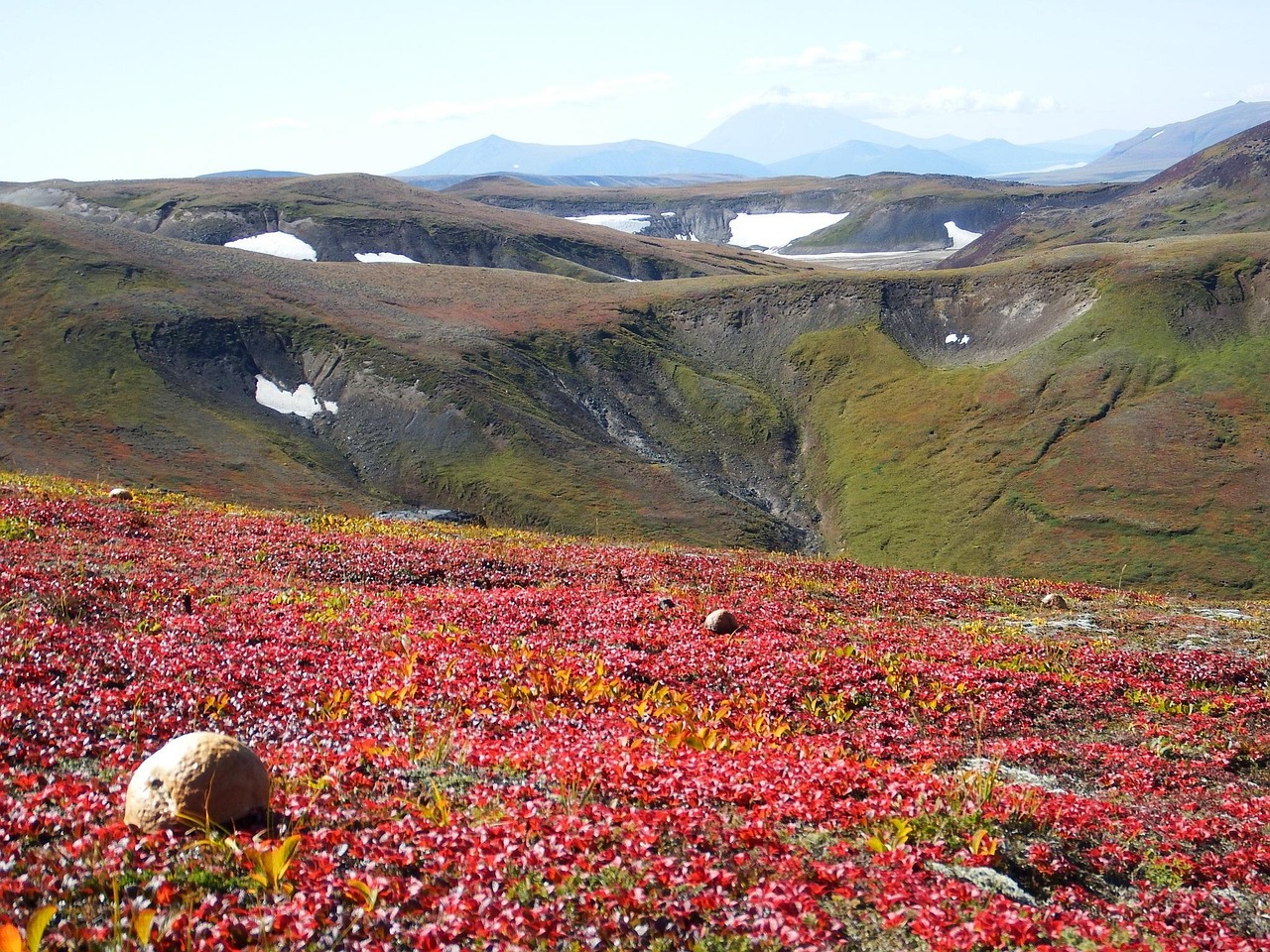 200+ Free 툰드라 & Tundra Photos - Pixabay
