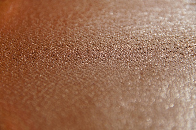Leather Pores Macro - Free photo on Pixabay