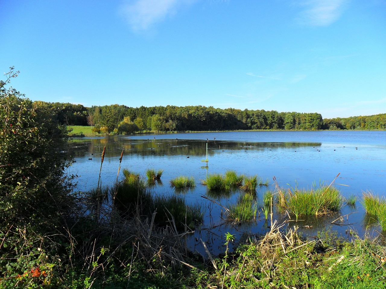 Rodder Maar Brohltal Paisaje - Foto gratis en Pixabay - Pixabay