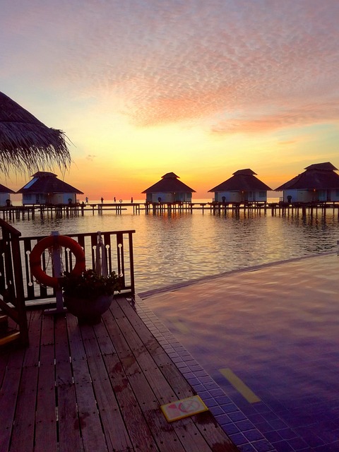 50,000+ Free Beautiful Paradise & Nature Images - Pixabay
