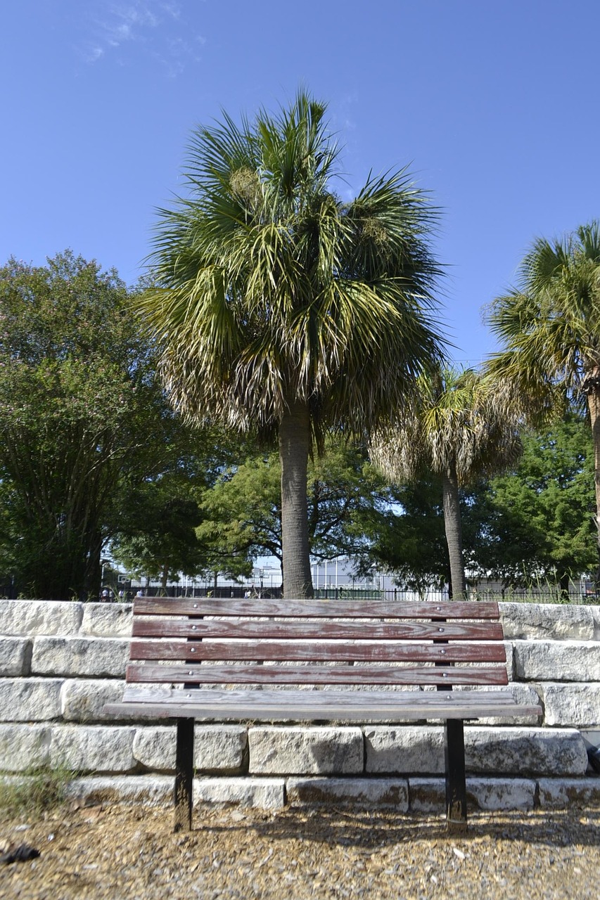Houston Texas Playground Bench - Free photo on Pixabay