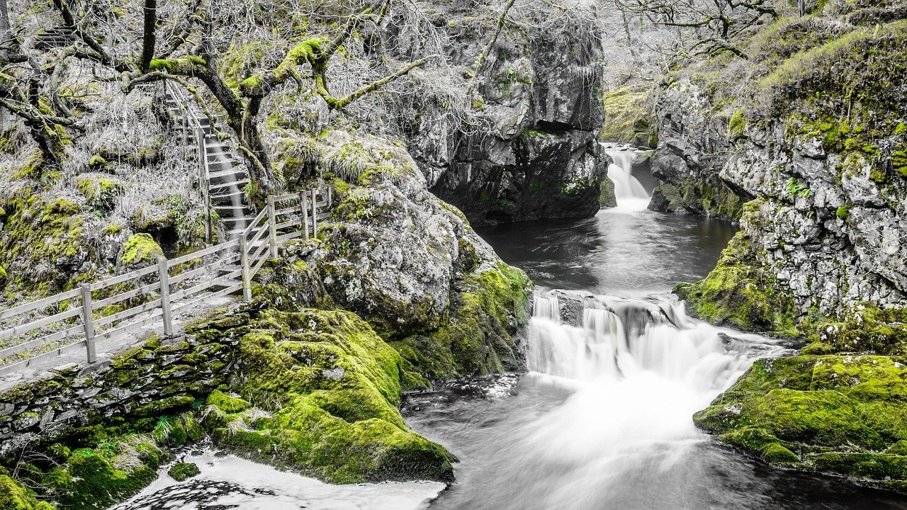100+ Free Yorkshire Countryside & Yorkshire Images - Pixabay