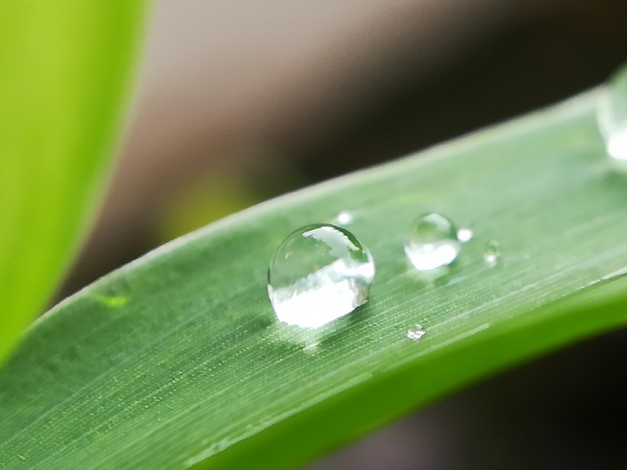 Drops Water Rain - Free photo on Pixabay - Pixabay