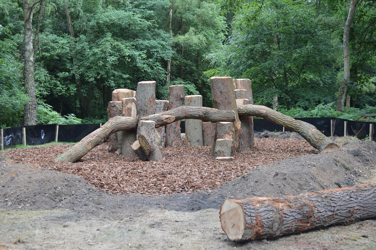 Adventure Playground Natural - Free photo on Pixabay - Pixabay