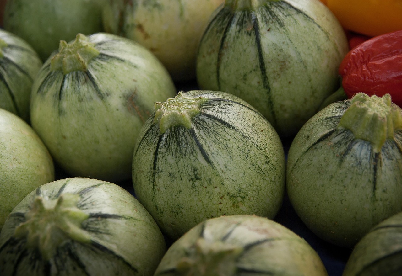 Plus de 600 images de Courgettes et de Des Légumes - Pixabay