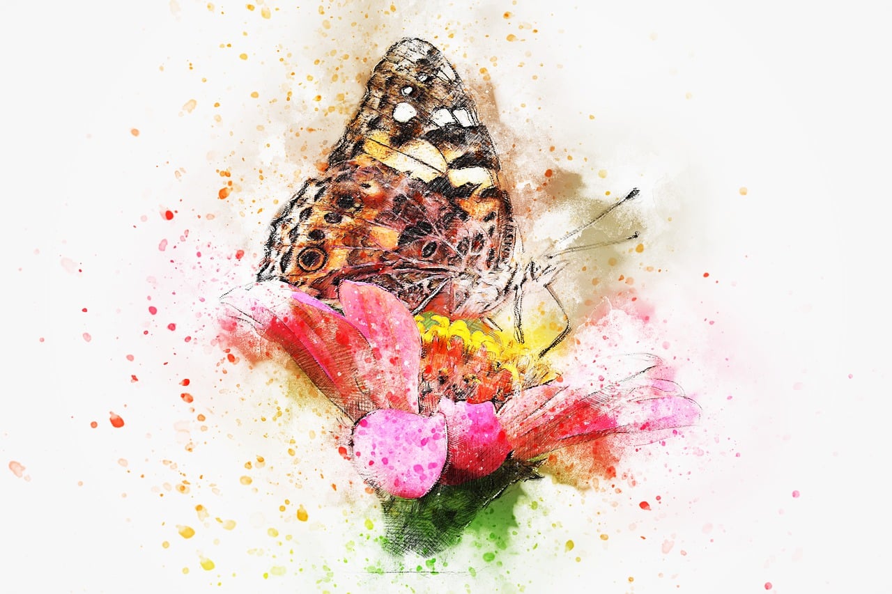 Download Butterfly, Insect, Art. Royalty-Free Stock Illustration Image ...