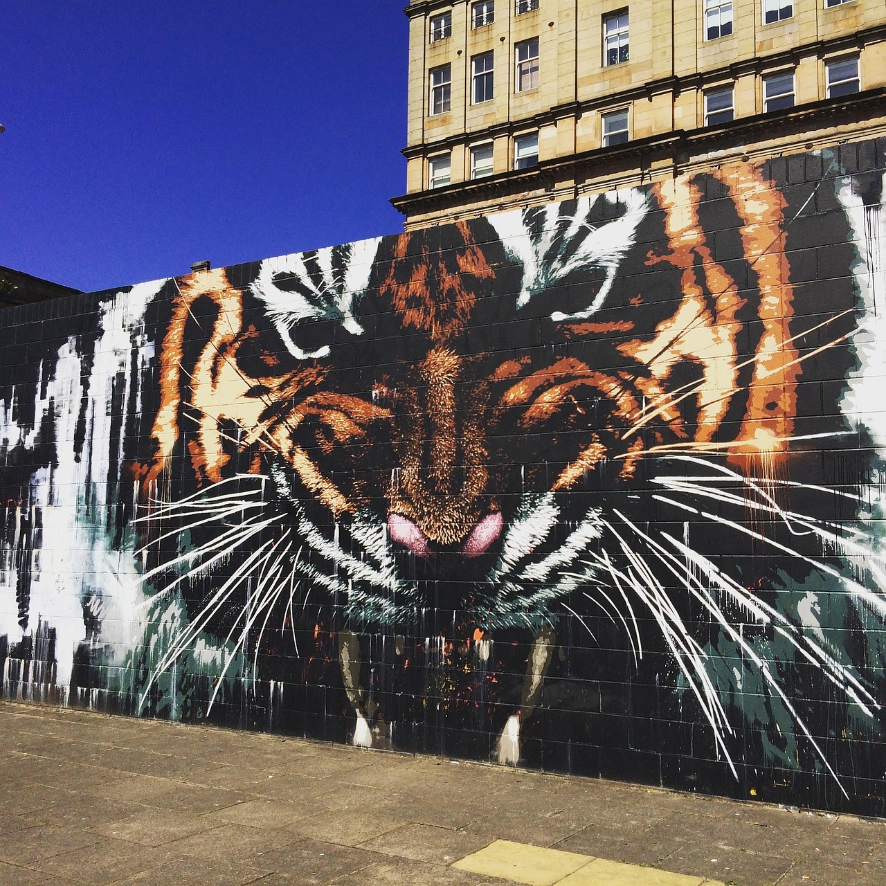 Arte De Rua Grafite - Foto gratuita no Pixabay - Pixabay