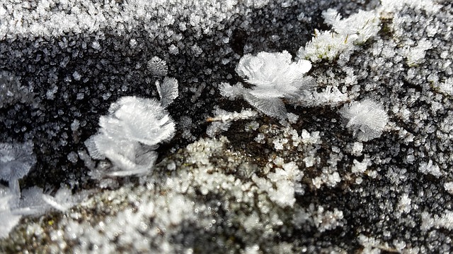 300+ kostenlose Eisblumen und Eiskristalle-Bilder - Pixabay