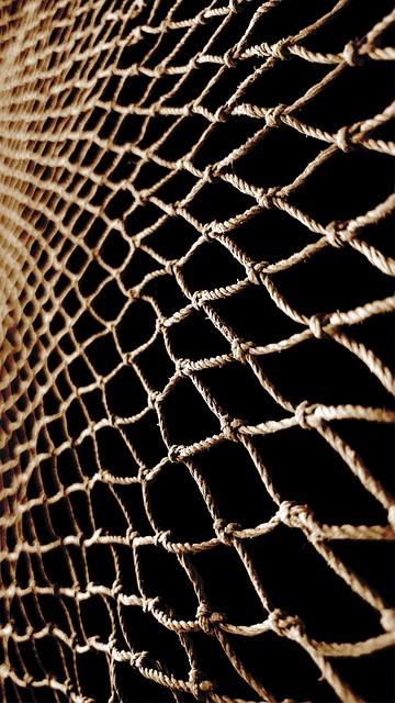 Net Fishnet Fishing-Net - Free photo on Pixabay