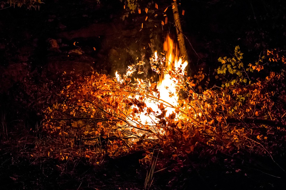 Koster Night Hike - Free photo on Pixabay - Pixabay